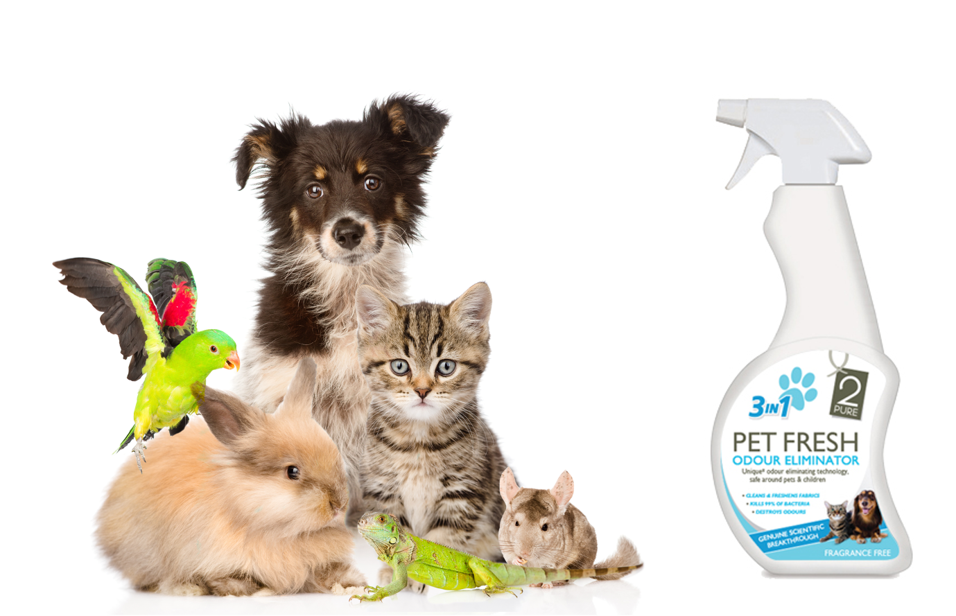 2Pure Products | Stain Removal Products | Odour Eliminator